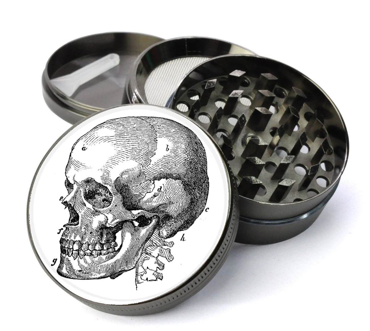 Illustrated Human Skull Large 5 Piece Spice & Herb Grinder With Microf ...